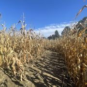 WINDY HILL ORCHARD - 46 Photos & 12 Reviews - 1297 Brookview Station Rd ...