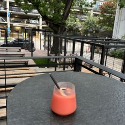 SOLARIUM - Updated August 2025 - 47 Photos - 820 Holman St, Houston ...