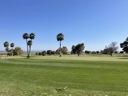 BLYTHE GOLF COURSE - Updated March 2025 - 43 Photos & 14 Reviews - 3480 ...