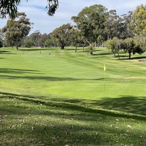 BALBOA PARK GOLF COURSE - 117 Photos & 126 Reviews - 2600 Golf Course ...