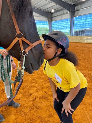 EQUEST - Updated November 2024 - 14 Photos - 811 Pemberton Hill Rd ...