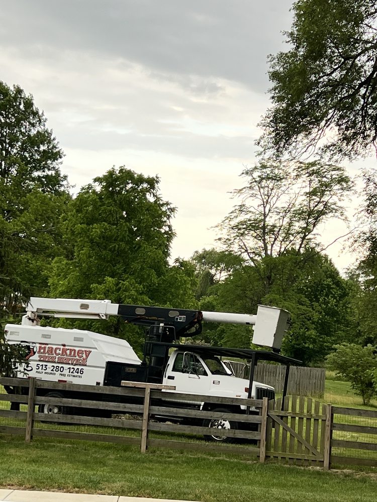 HACKNEY TREE SERVICE - Updated August 2025 - 68 Photos - 1127 Hetrick ...