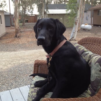 HOLLISTER GUN CLUB - Updated September 2025 - 24187 Gun Club Rd ...