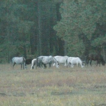 HON-DAH RV PARK - Updated July 2024 - 26 Photos & 18 Reviews - Highway ...