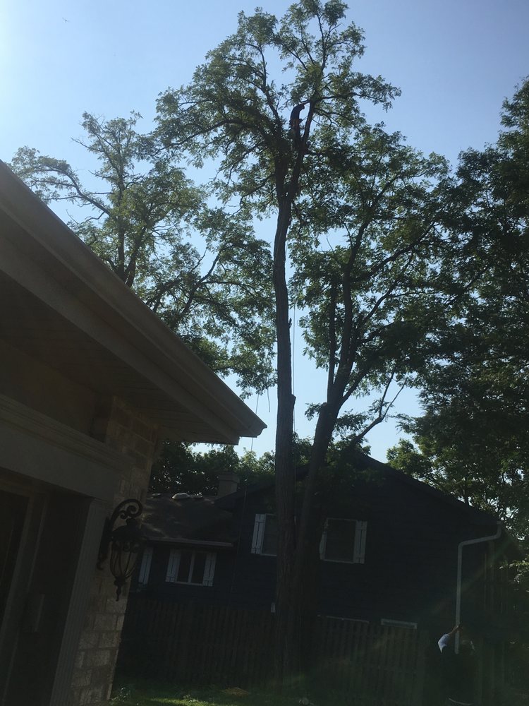 ALL SEASONS TREE SERVICE - Updated August 2025 - 10 Reviews - 2629 ...