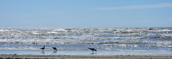 WHITECAP BEACH - Updated April 2025 - 175 Photos & 39 Reviews - 14618 S ...