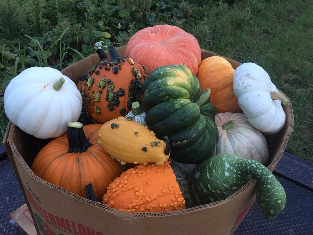 OVERLOOK PRODUCE, BAKERY & DELI - 36 Photos - 609 Friedens Church Rd ...