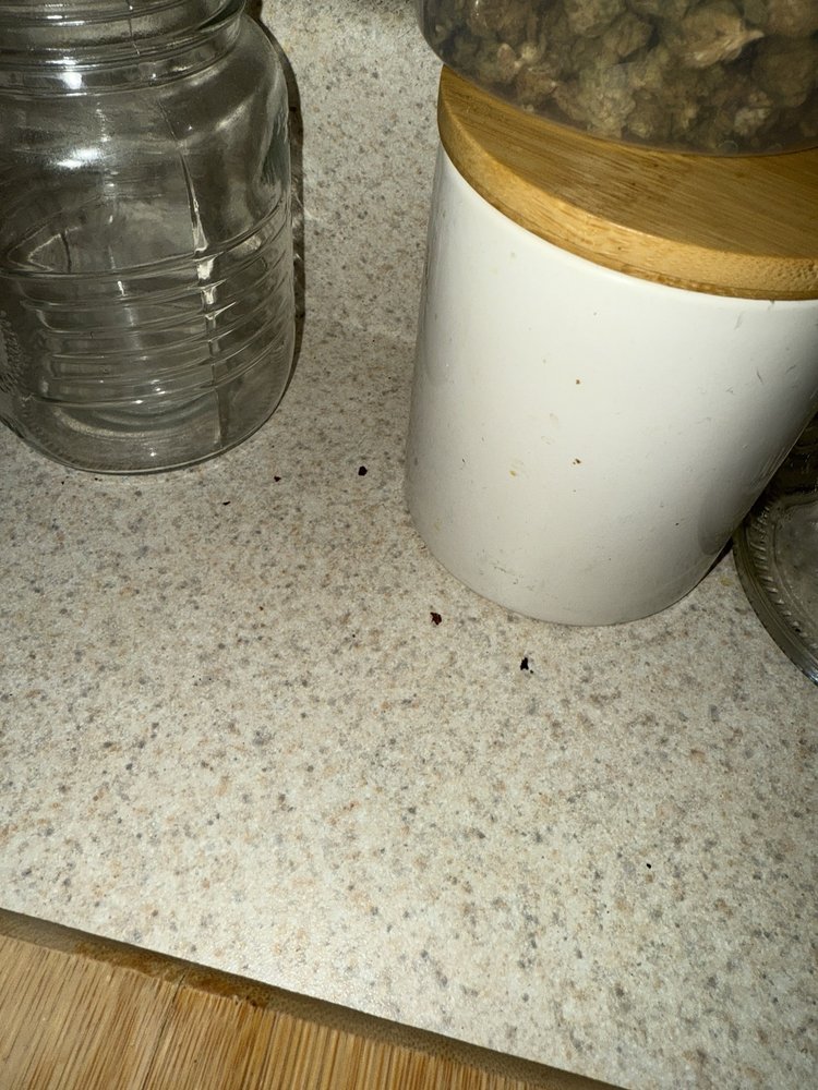 ULTRIS AT COURTHOUSE SQUARE - Updated January 2026 - 27 Photos & 52 ...