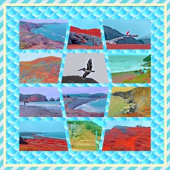 RODEO BEACH - Updated June 2025 - 696 Photos & 207 Reviews - Mitchell ...