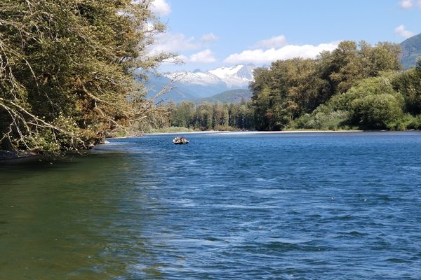 SKAGIT RIVER ROADSIDE PARK - Updated October 2025 - 55250 N Cascades ...