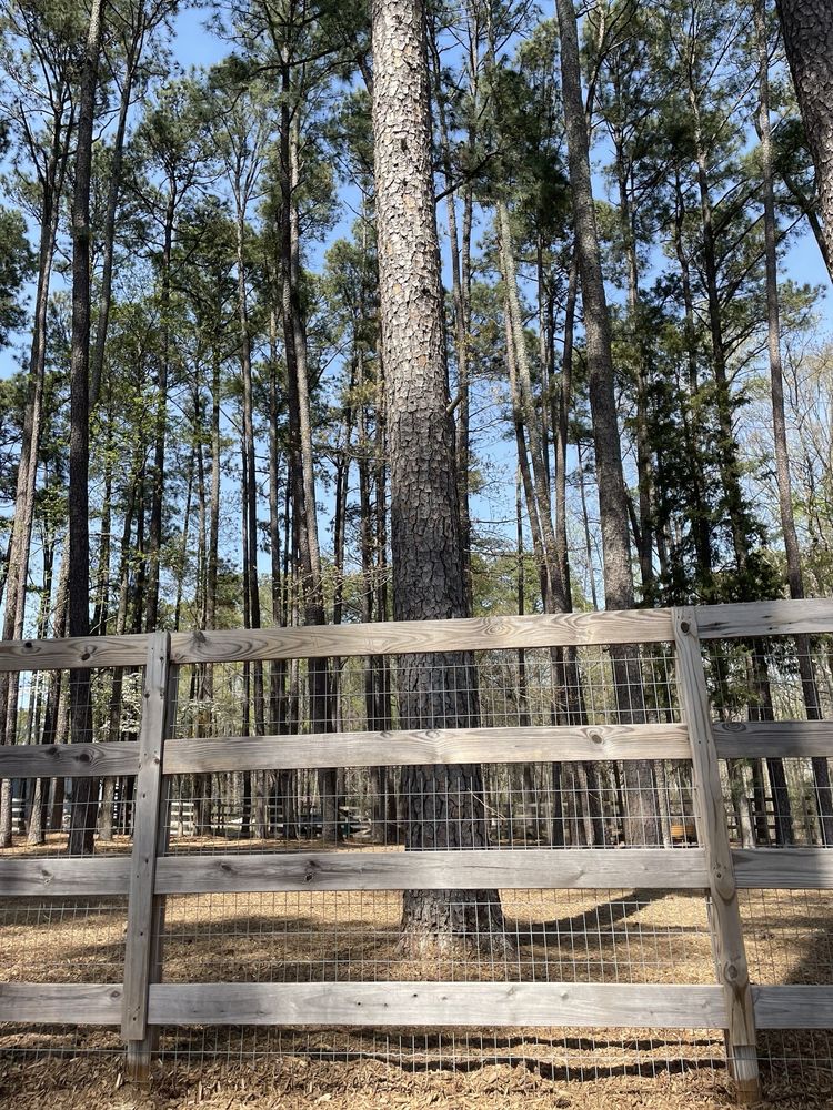 SUGG FARM PARK - Updated August 2025 - 11 Photos - 2401 Grigsby Ave ...