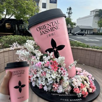 MOLLY TEA - Updated June 2025 - 856 Photos & 621 Reviews - 425 W Valley ...