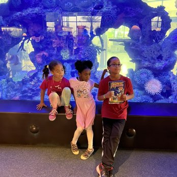 CERRITOS LIBRARY - Updated October 2024 - 1515 Photos & 484 Reviews ...