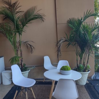 Photos of BACI COFFEE - Updated August 2024 - 320 Photos & 80 Reviews ...