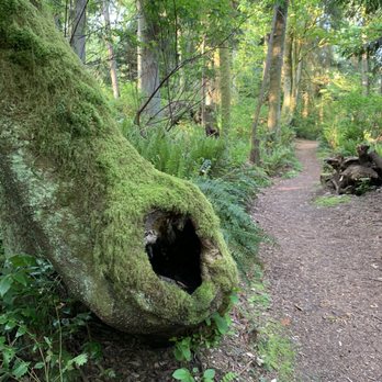 SOUTHWEST COUNTY PARK - Updated September 2025 - 35 Photos - 8000-8298 ...