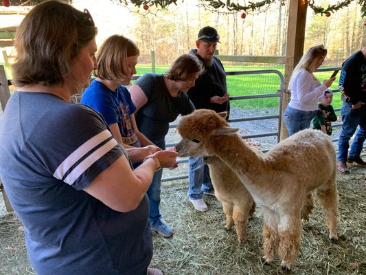 LASSO THE MOON ALPACA FARM - Updated January 2026 - 35 Photos & 10 ...