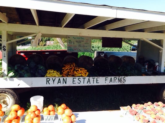 RYAN ESTATE FARMS - Updated October 2025 - 320 Elmgrove Rd, Rochester ...