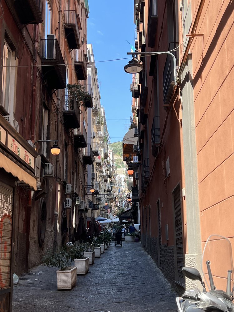 SUNSHINE CRUISE VACATIONS - Request Information - 20 Photos - Boca Raton, Florida - Travel ...