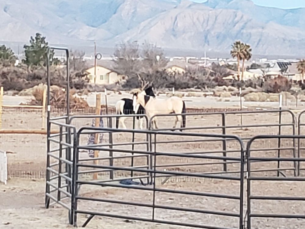 KYLE CANYON RANCH - 82 Photos - 13820 Kyle Canyon Rd, Las Vegas, Nevada ...