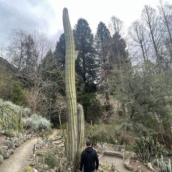 UC BOTANICAL GARDEN AT BERKELEY - Updated December 2025 - 1487 Photos ...