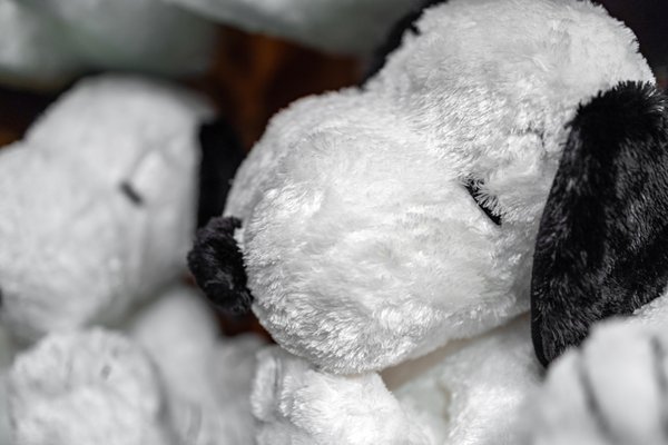 SNOOPY’S GALLERY & GIFT SHOP - Updated July 2025 - 551 Photos & 64 ...