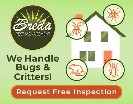 BREDA PEST MANAGEMENT - Updated December 2025 - 11 Photos & 69 Reviews ...