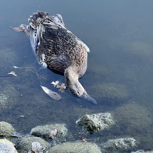 SUTTER COUNTY LIBRARY - Updated September 2025 - 12 Photos & 18 Reviews ...