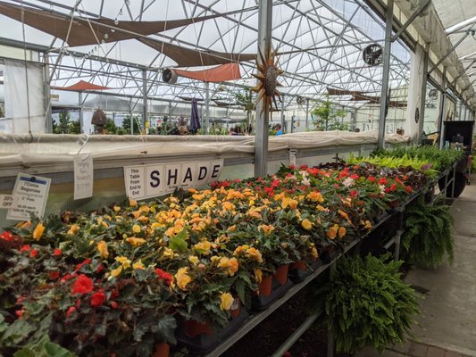 RIVER STREET FLOWERLAND - Updated June 2025 - 119 Photos & 13 Reviews ...