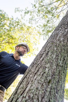 THE DAVEY TREE EXPERT COMPANY - Updated December 2025 - 14 Photos & 31 ...