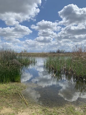 BUENA VISTA LAKE - 53 Photos & 44 Reviews - Enos Ln, Tupman, California ...