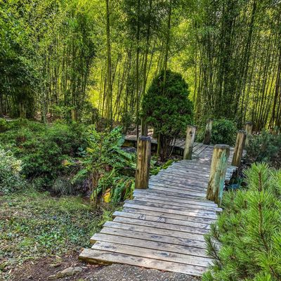 MINGUS PARK - Updated August 2025 - 48 Photos & 11 Reviews - 1100-1298 ...