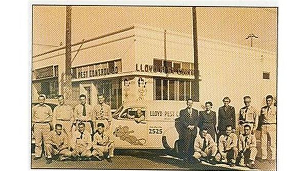 LLOYD PEST & TERMITE CONTROL - Updated July 2025 - 46 Photos & 257 ...