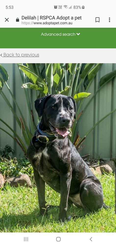 CAFE RENE - Updated June 2024 - 193 Princes Hwy, Nowra New South Wales ...