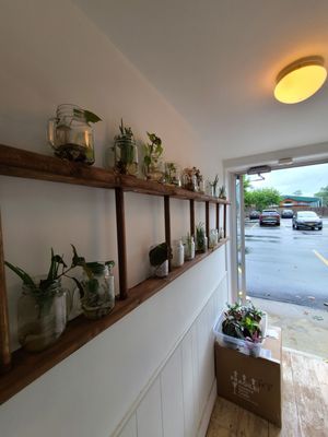 THE PLANT SHACK - Updated August 2024 - 41 Photos - 618 Main St, East ...