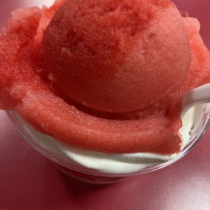 FROSTBITES CREPES & FROZEN DELIGHTS - 1526 Photos & 2009 Reviews - 9111 ...
