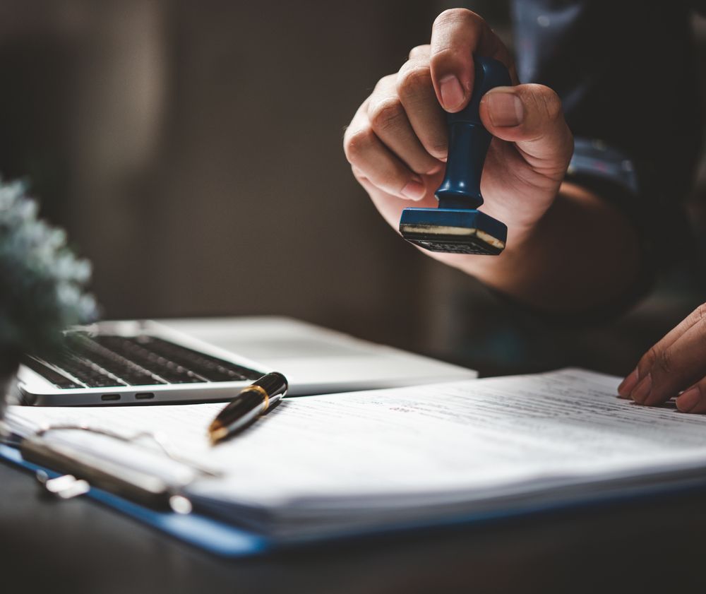 THE NOTARY BEAR - Updated January 2025 - Los Angeles, California ...