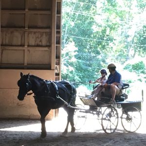 MUSTANG MEADOW - Updated November 2025 - 10 Photos - 571 Quaker Farms ...