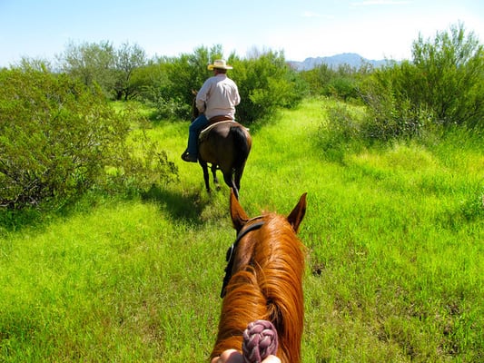 COCORAQUE RANCH AND PAVILLION - 3199 N Reservation Rd, Marana, Arizona ...