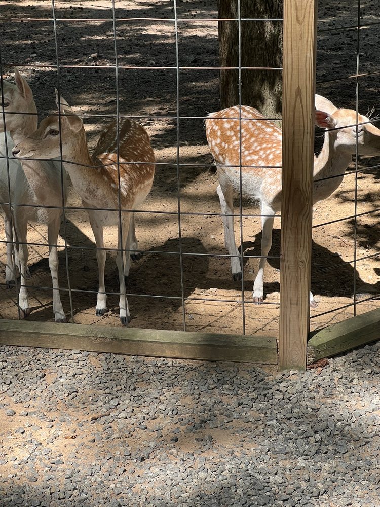 GATORS & FRIENDS - Updated December 2025 - 207 Photos & 60 Reviews ...