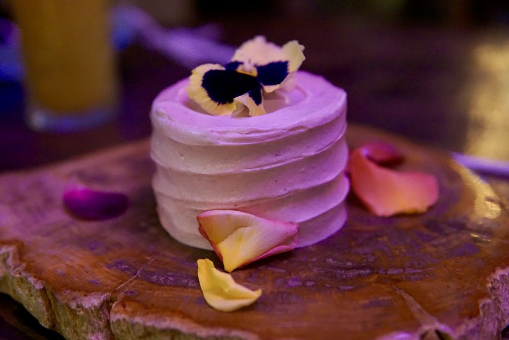 VANDERPUMP COCKTAIL GARDEN - 3892 Photos & 1537 Reviews - 3570 Las ...