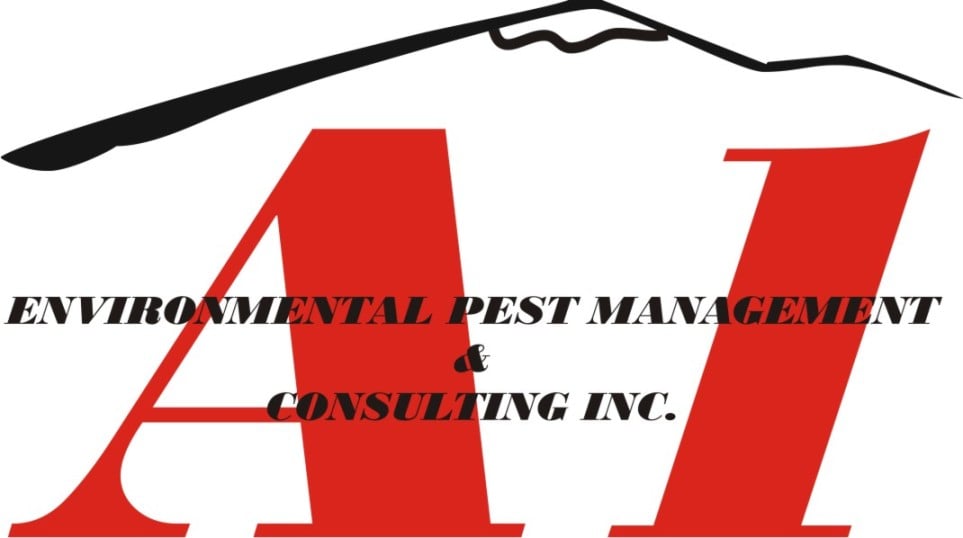 A1 ENVIRONMENTAL PEST MANAGEMENT - Updated April 2025 - Brighton ...