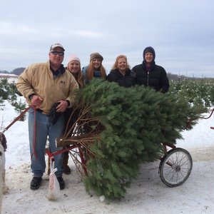 WATA CHRISTMAS TREE FARM - 13 Reviews 【3650 County Line Rd, Quakertown ...