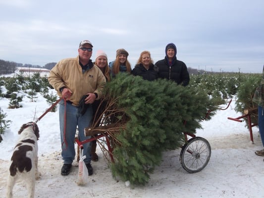 WATA CHRISTMAS TREE FARM - Updated May 2026 - 16 Reviews - 3650 County ...