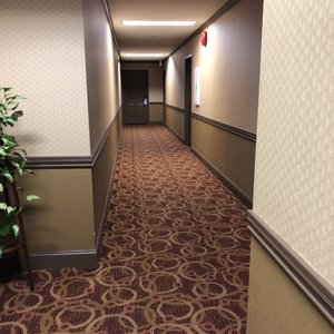 CHELSEA INN - 41 Photos & 121 Reviews - 2095 Lombard St, San Francisco ...