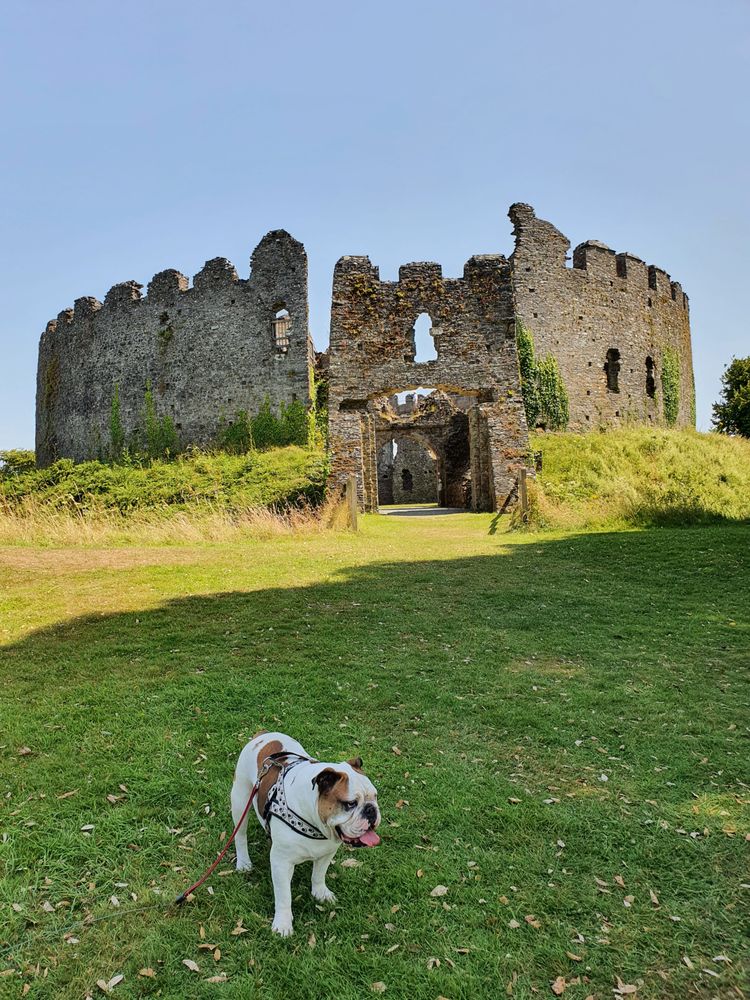 RESTORMEL CASTLE - 19 Photos - Restormel Rd, Lostwithiel, Cornwall ...