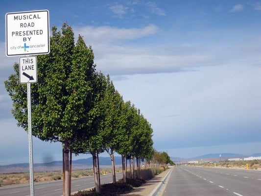 MUSICAL ROAD - Updated January 2026 - 55 Photos & 141 Reviews - 3315 W ...