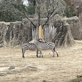 PHILADELPHIA ZOO - Updated April 2025 - 2015 Photos & 548 Reviews ...