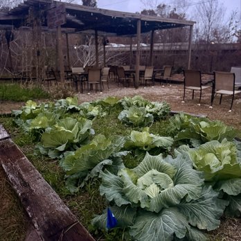 BACKWOODS CROSSING - Updated May 2025 - 1149 Photos & 682 Reviews ...