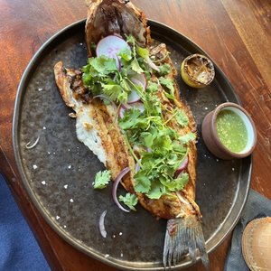 CASA PANTERA - 48 Photos & 31 Reviews - 3015 Pershing Dr, El Paso, TX ...