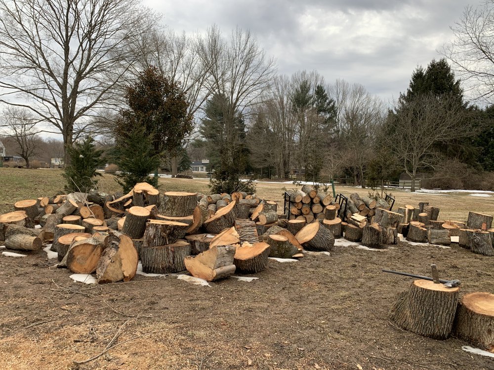 SPLIT & STACK - Updated October 2025 - 14 Photos - Halethorpe, Maryland ...